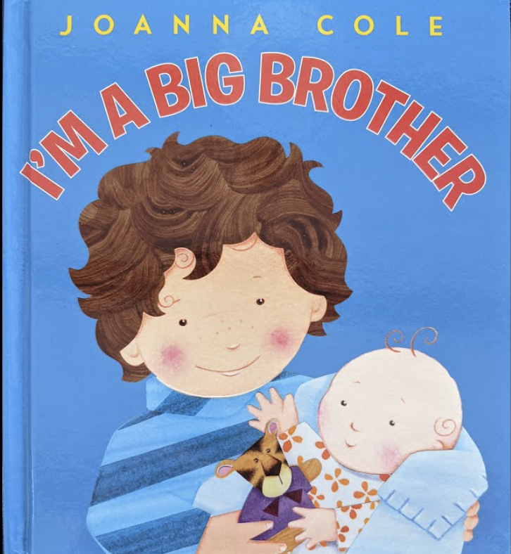 I'm A Big Brother – Jonesies Children's Shop of Rome